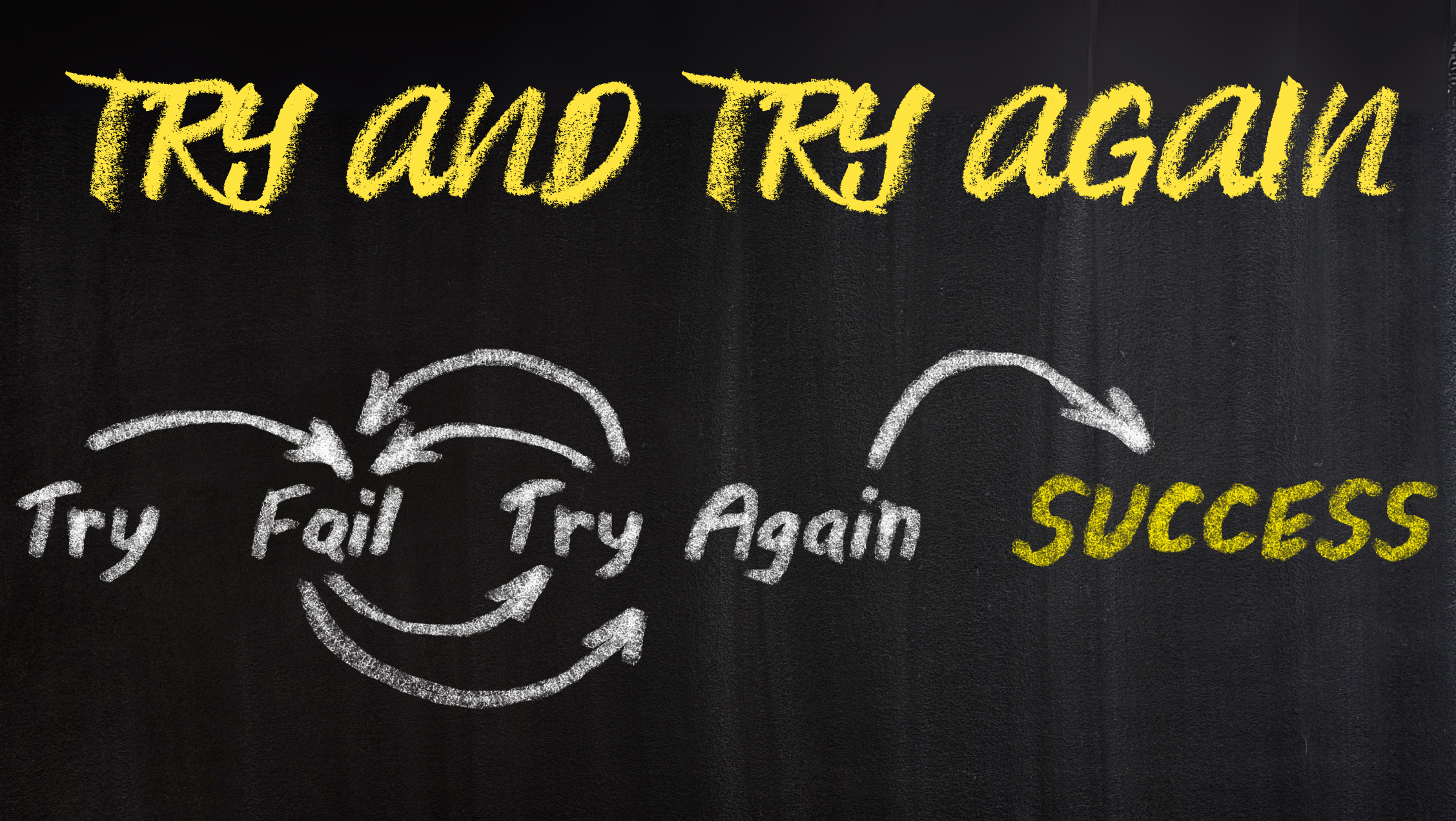 Try & Try Again – Amber Oaks Ranch